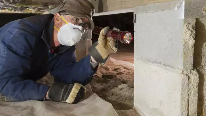 When to get a Termite Inspection - Termagon Termite and Pest Control